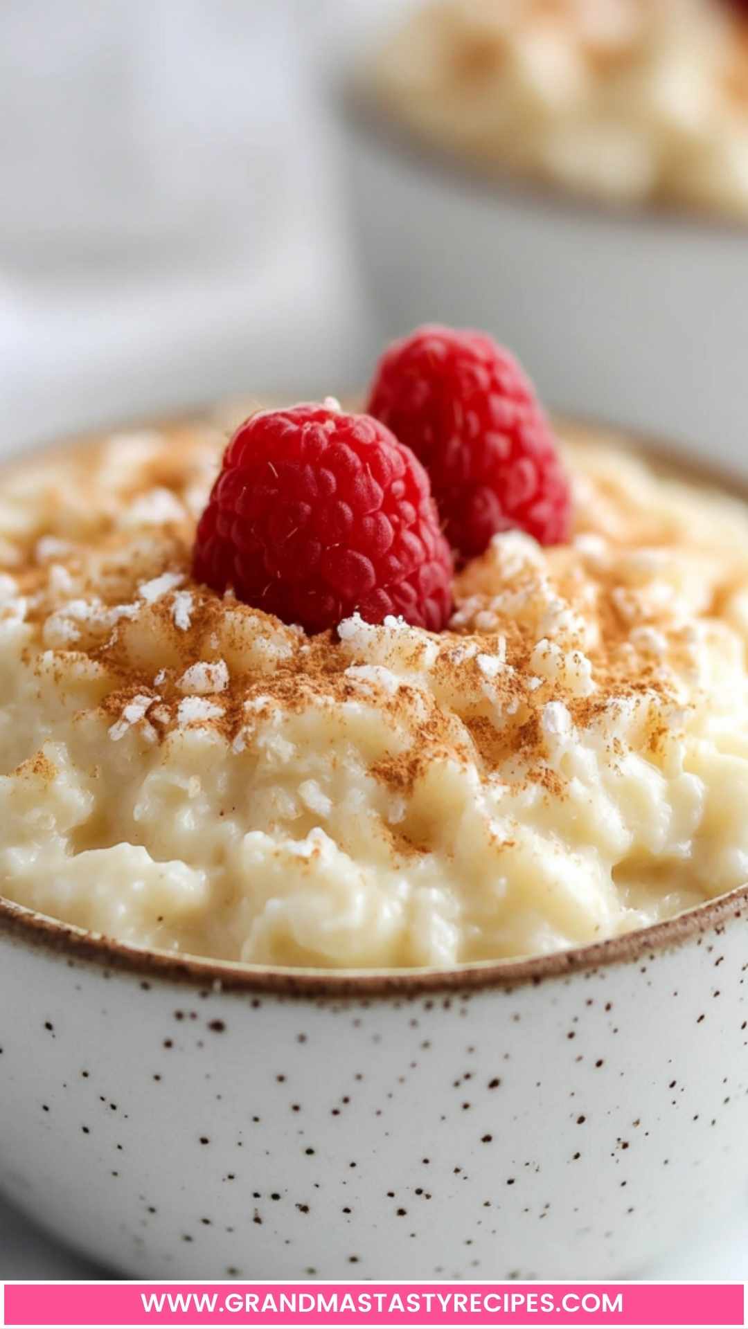 Costco Rice Pudding - Grandma's Tasty Recipes